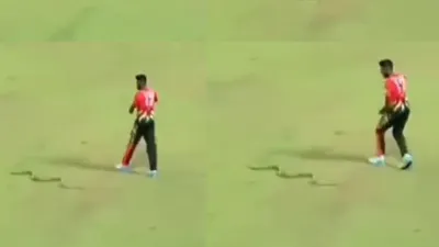 WATCH: Isuru Udana's close call with snake in LPL 2023 amidst B-Love ...